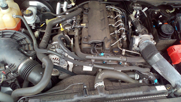 FORD RANGER - ACM Parts